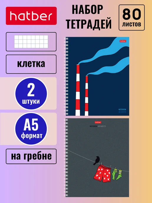 Набор тетрадей 80 листов А5 клетка на гребне, 2 штуки Hatber